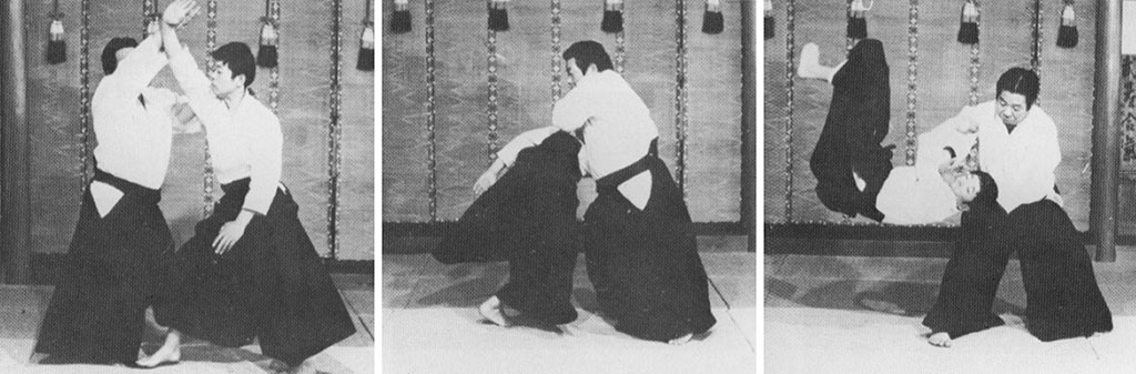 The Technical Evolution of Daito-ryu Aikijujutsu and the Development of ...